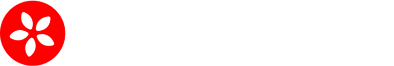 Lingdys Pluss - Everway AS